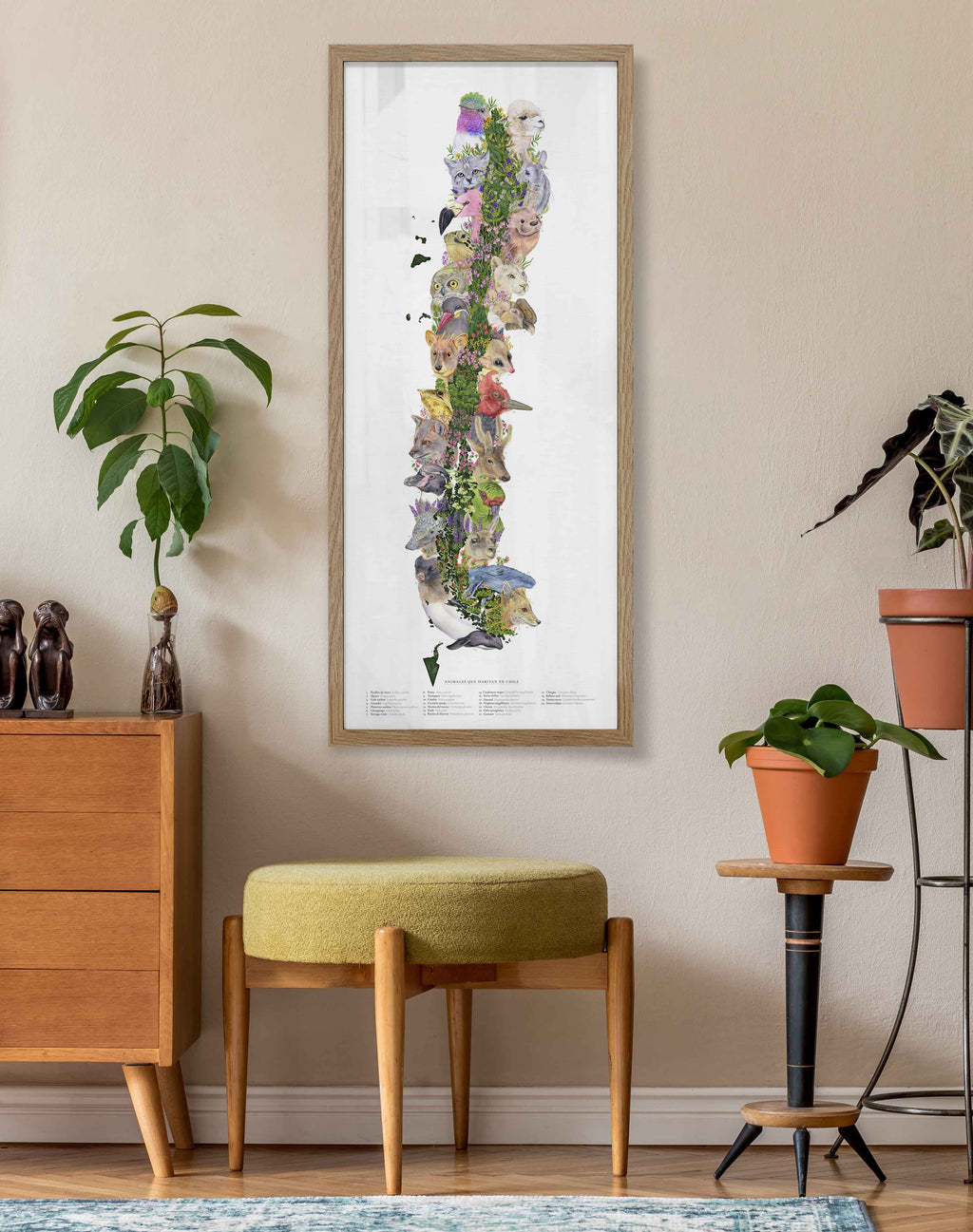 Mapas de Chile: Ilustrados — Mappin