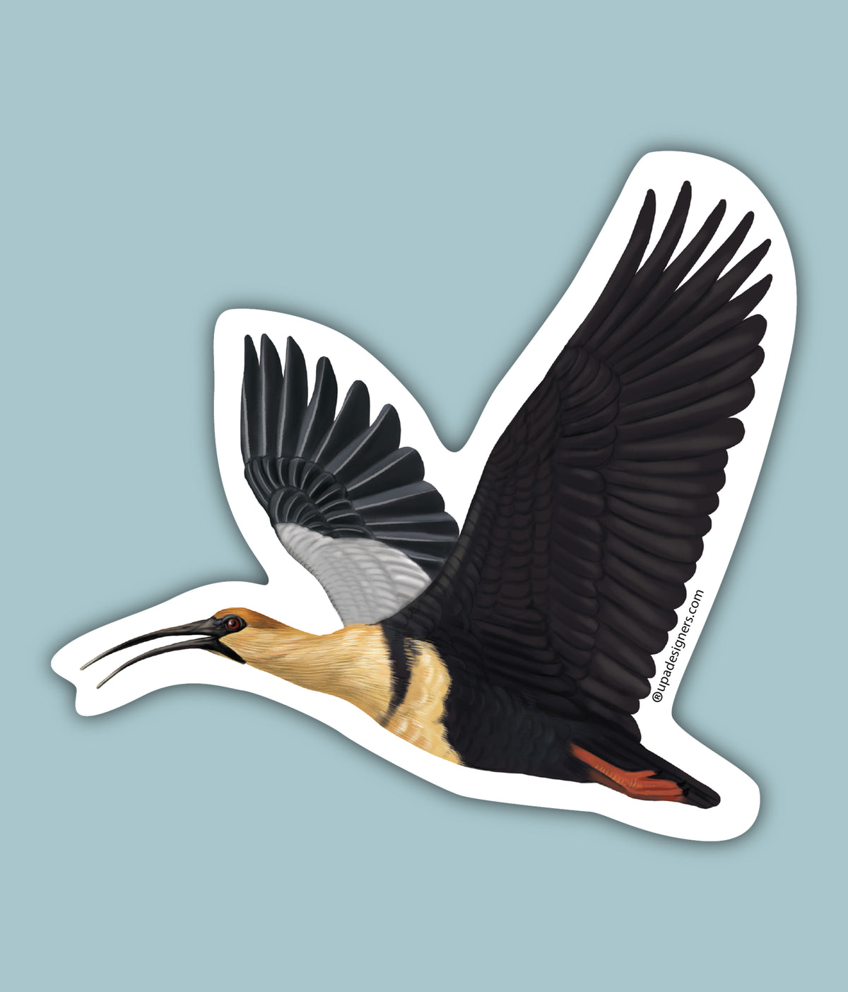 Sticker Bandurria — Mappin
