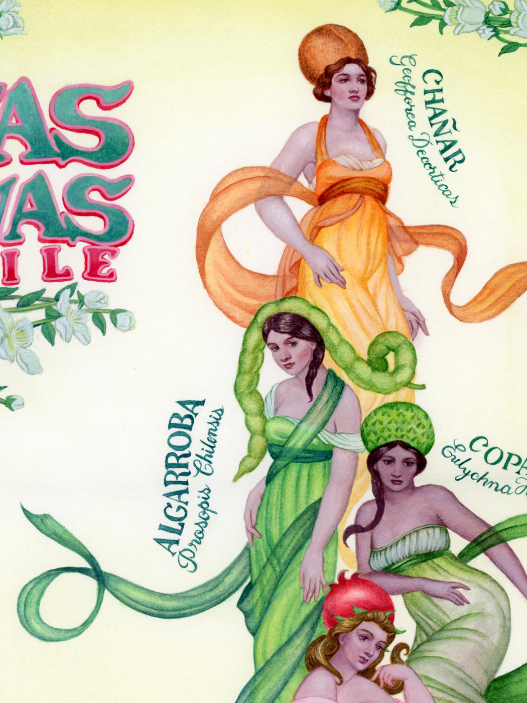 Mapa de las Frutas Nativas de Chile - Lámina — Mappin