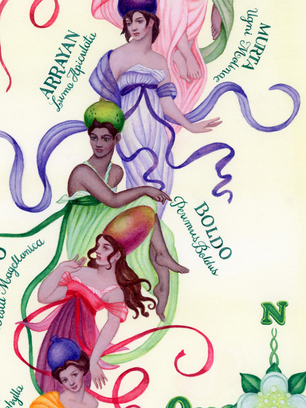 Mapa de las Frutas Nativas de Chile - Lámina — Mappin