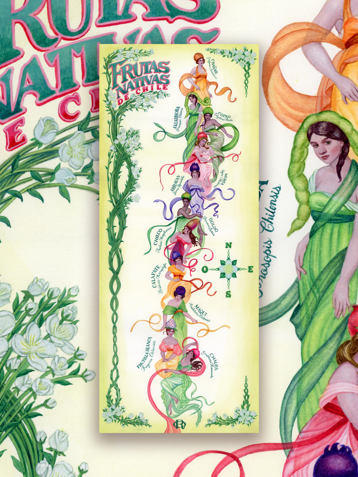 Mapa de las Frutas Nativas de Chile - Lámina — Mappin