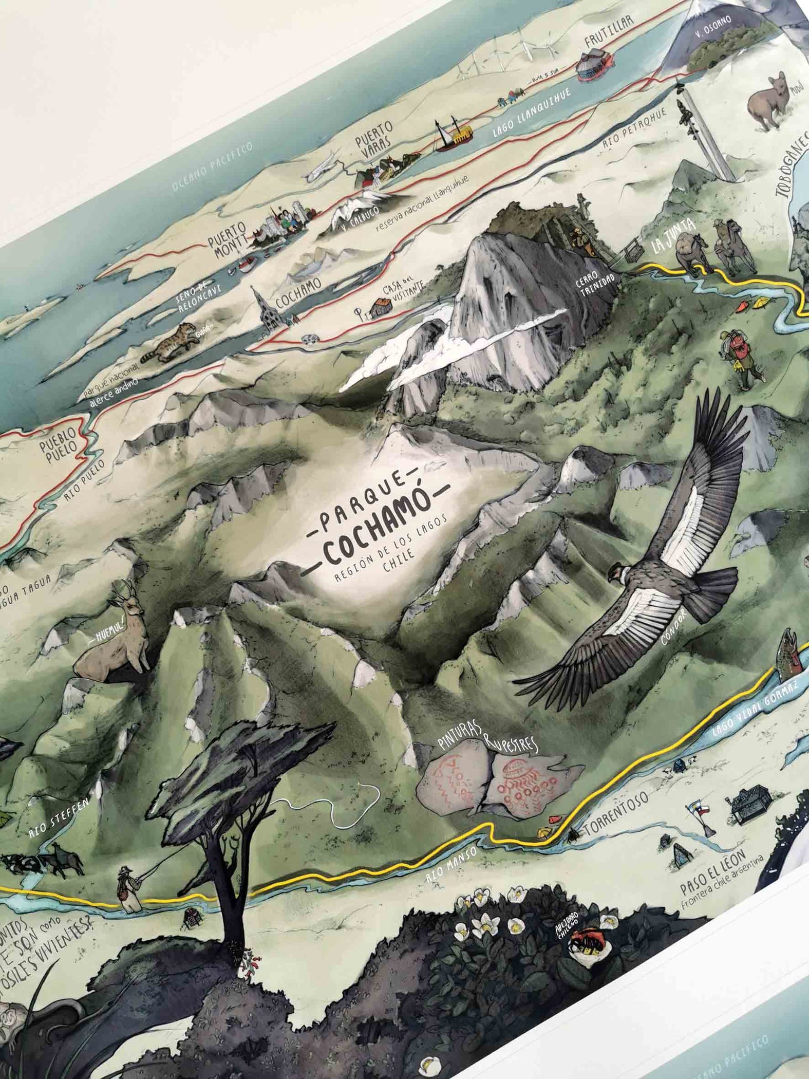 Mapa ilustrado de Parque Cochamó - Lámina — Mappin