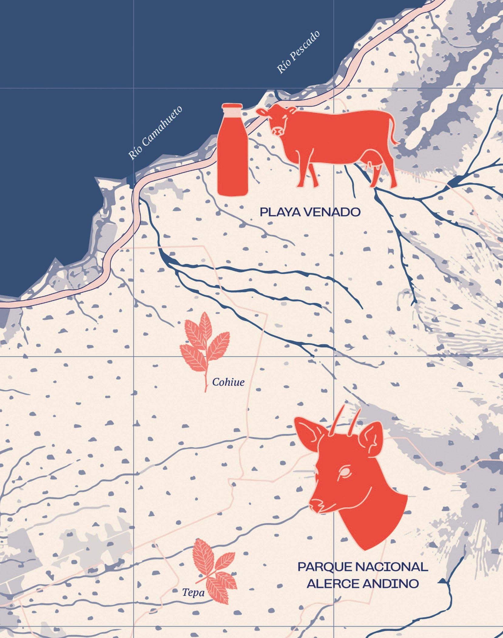 Mapa Ilustrado Lago Llanquihue - Lámina — Mappin