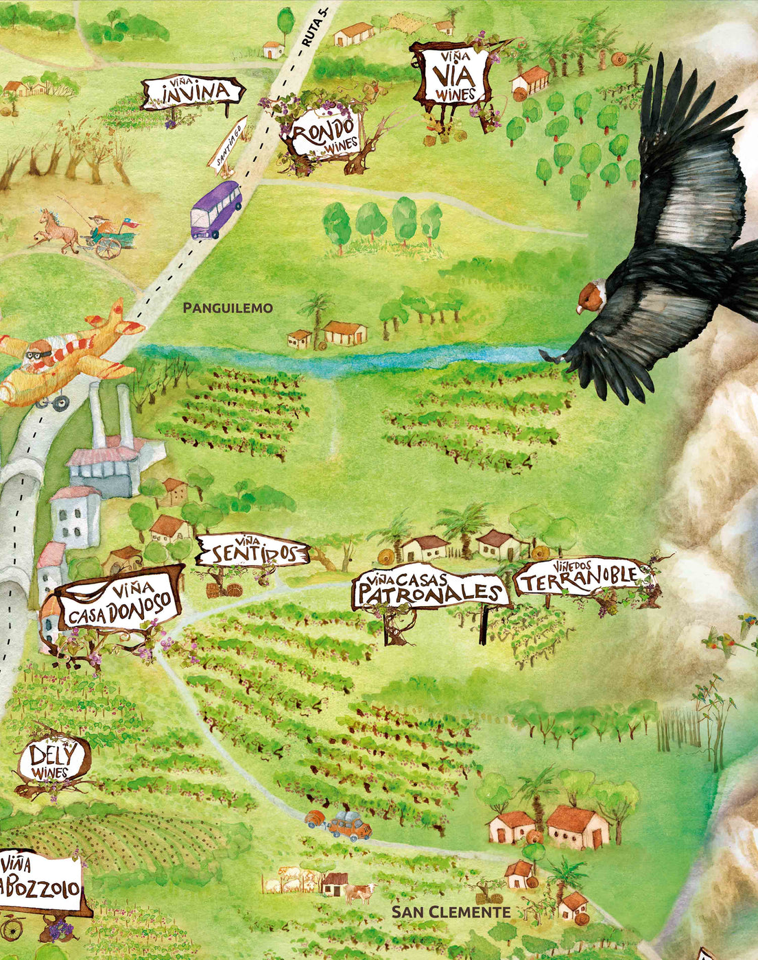 Mapa ilustrado del Valle del Maule - Lámina — Mappin
