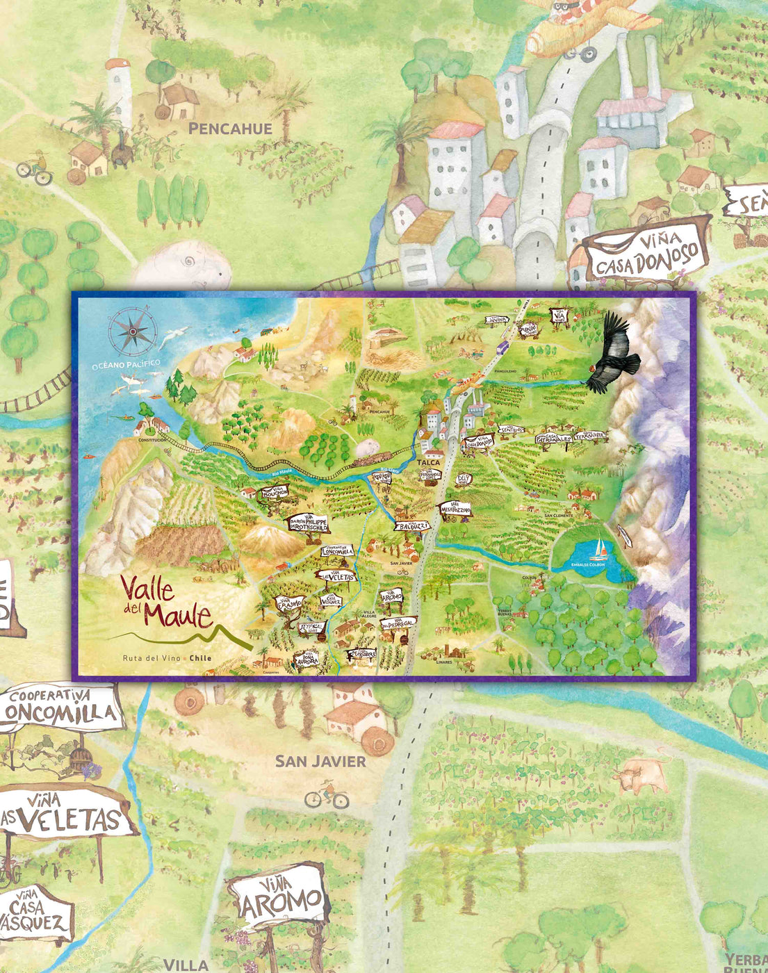 Mapa ilustrado del Valle del Maule - Lámina — Mappin