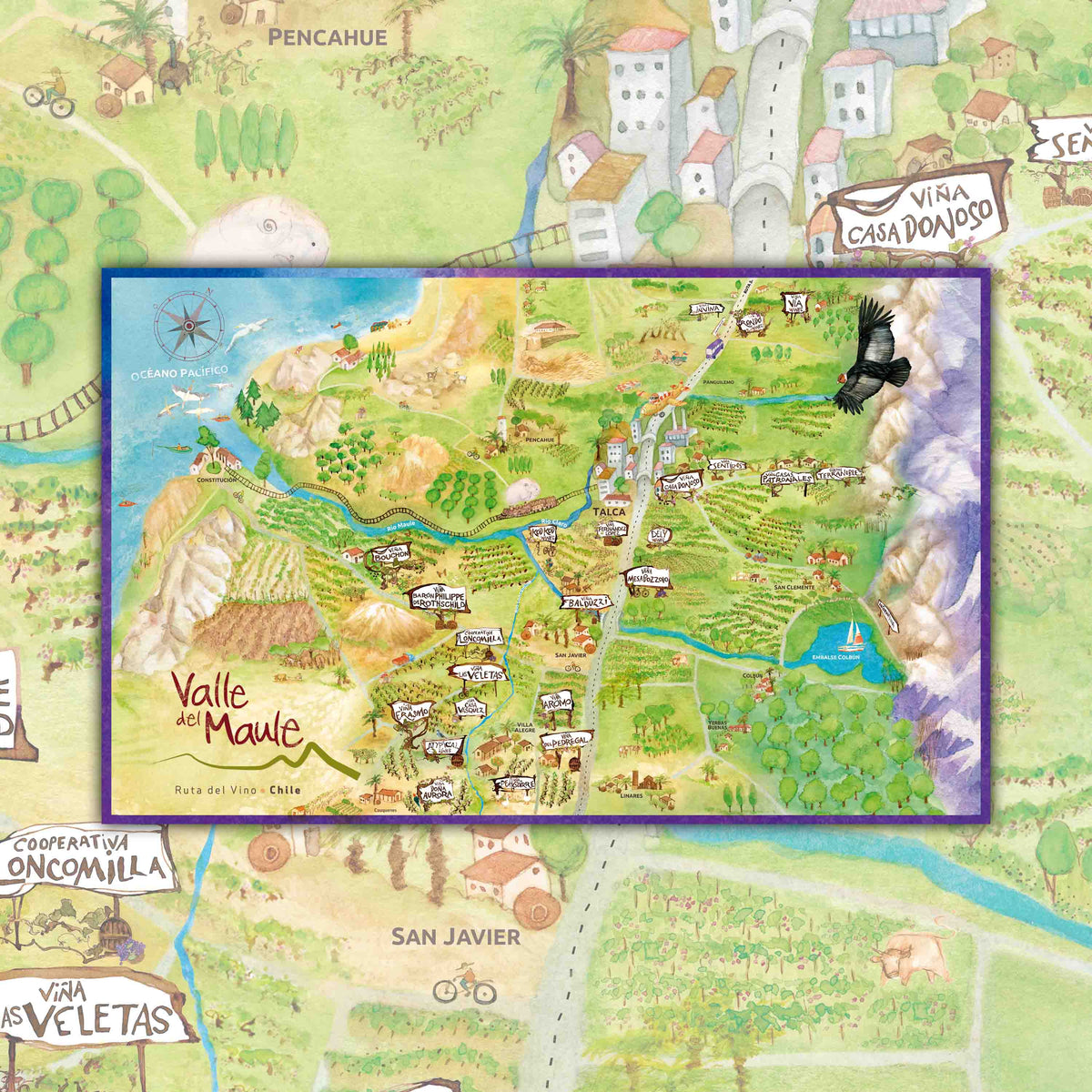 Mapa ilustrado del Valle del Maule - Lámina — Mappin