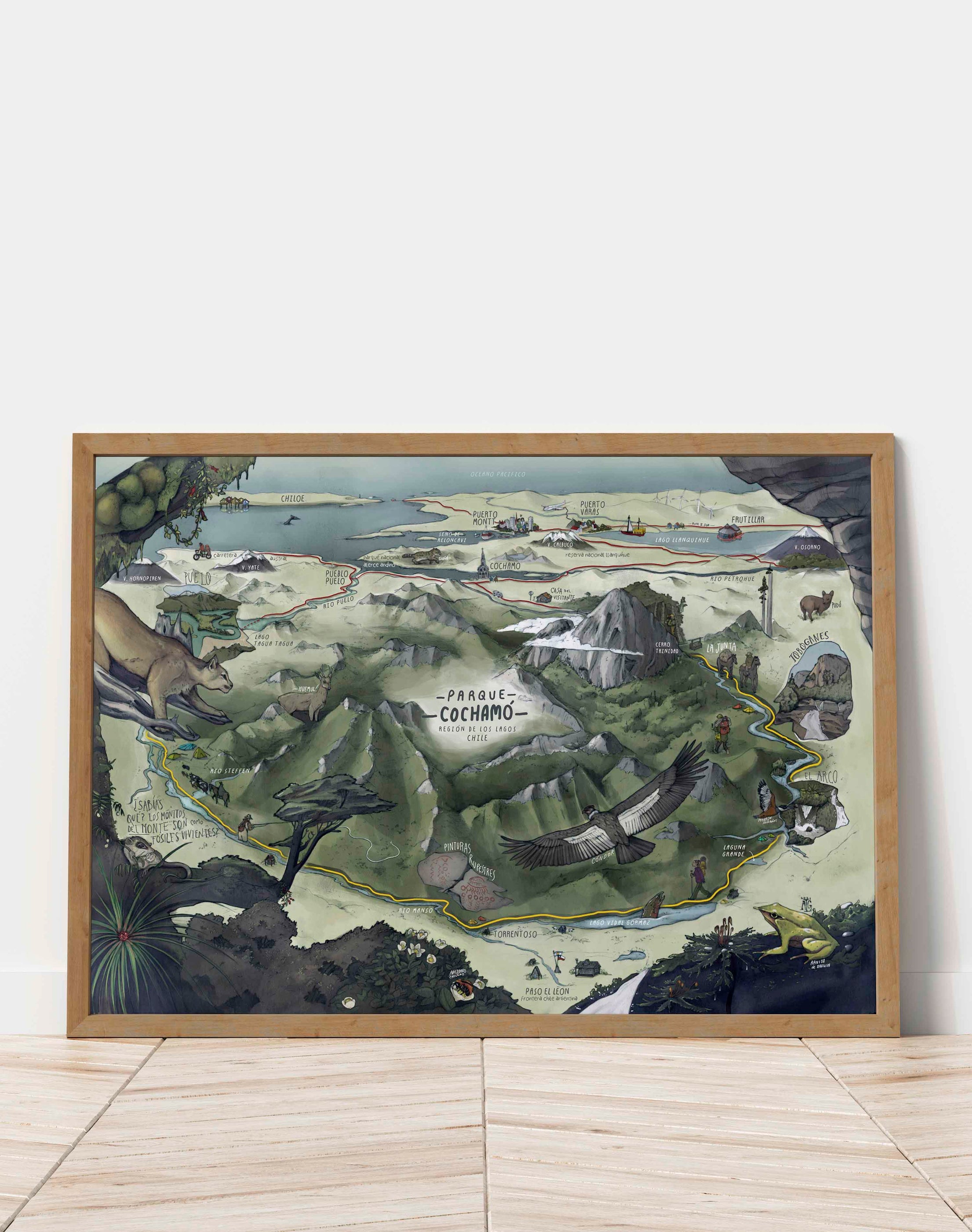 Mapa ilustrado de Parque Cochamó - Lámina — Mappin