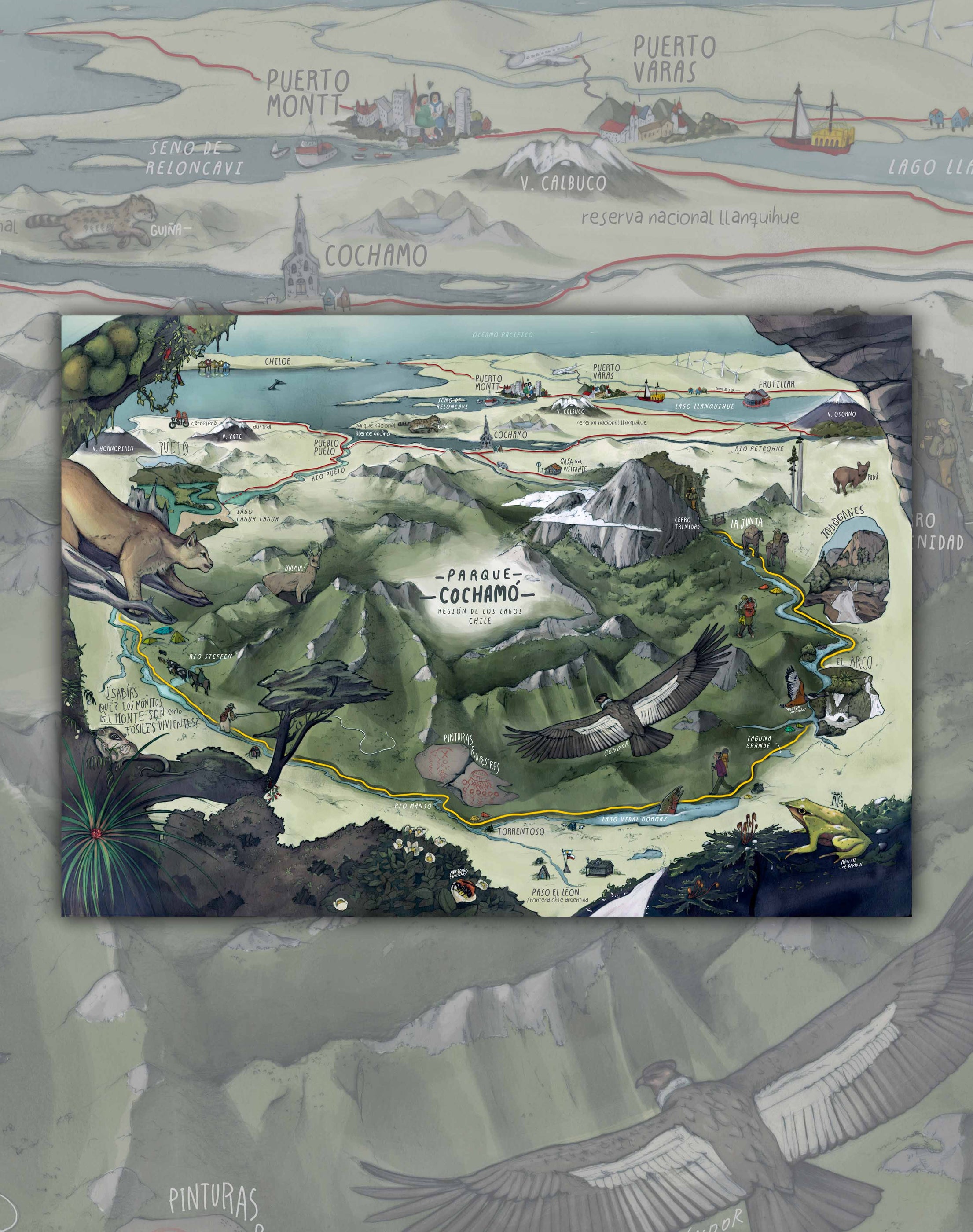 Mapa ilustrado de Parque Cochamó - Lámina — Mappin