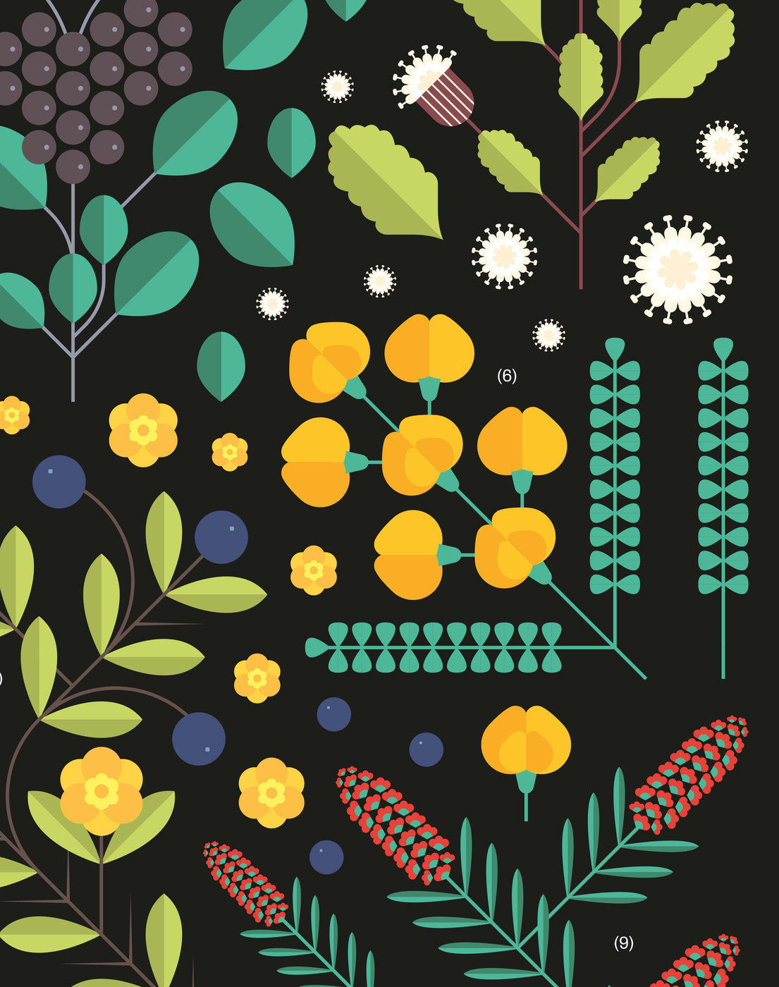 Poster Flora Nativa Estepa Patagónica - Lámina — Mappin
