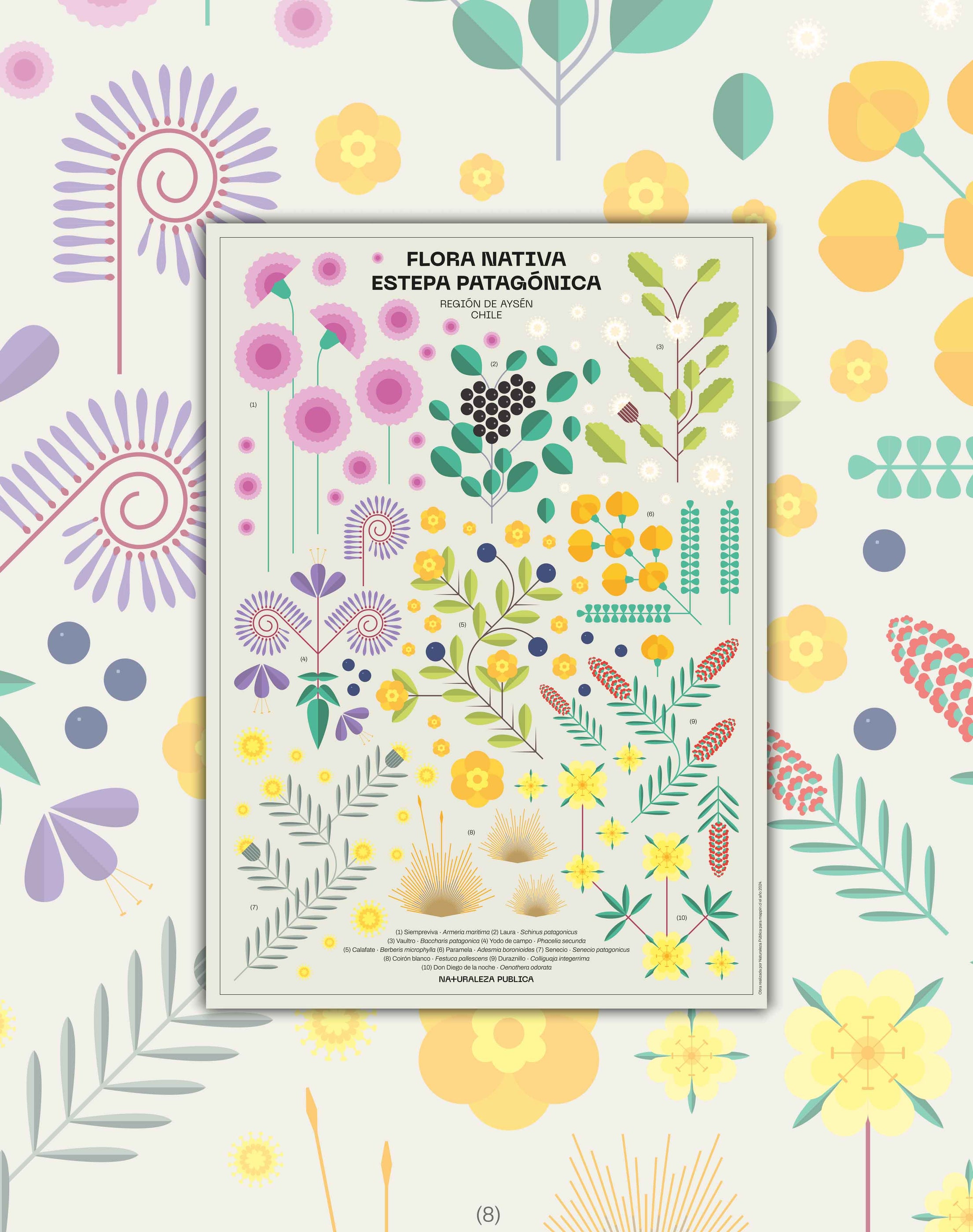 Poster Flora Nativa Estepa Patagónica - Lámina — Mappin