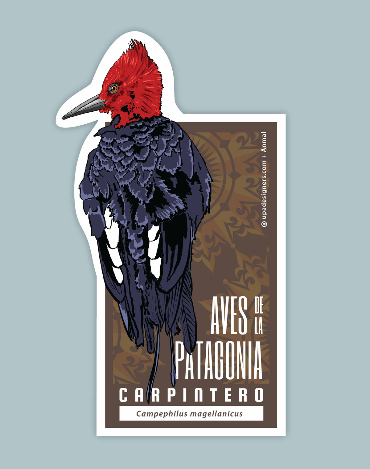 Sticker Carpintero Aves de la Patagonia — Mappin