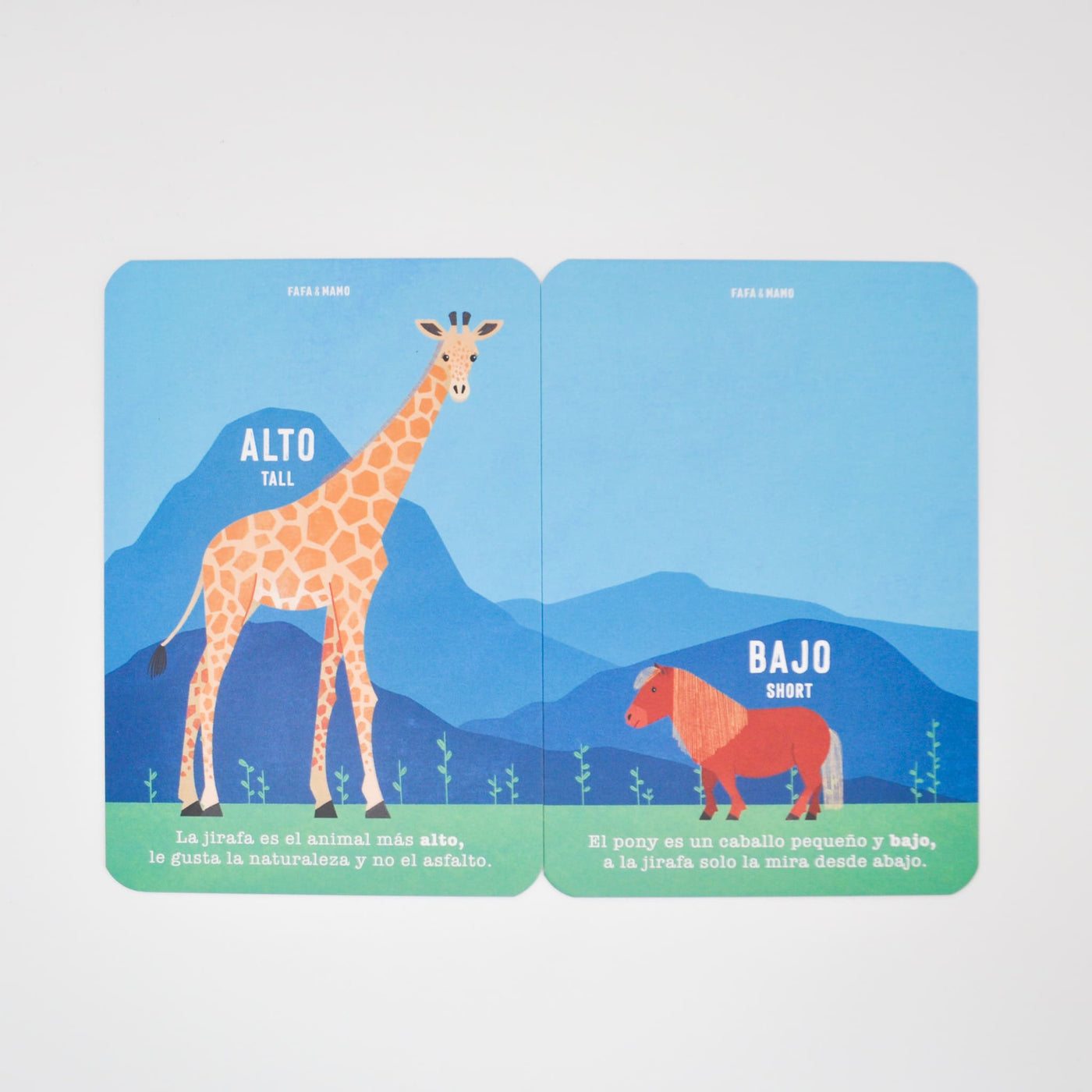 Tarjetas Opuestos — Mappin