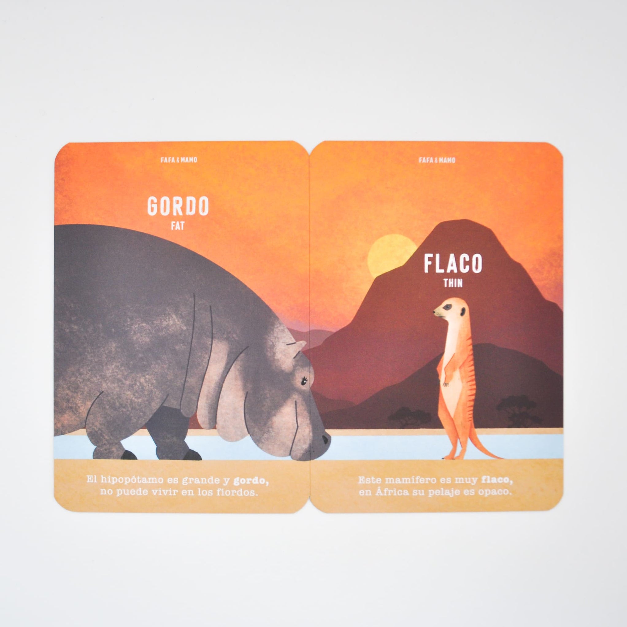 Tarjetas Opuestos — Mappin