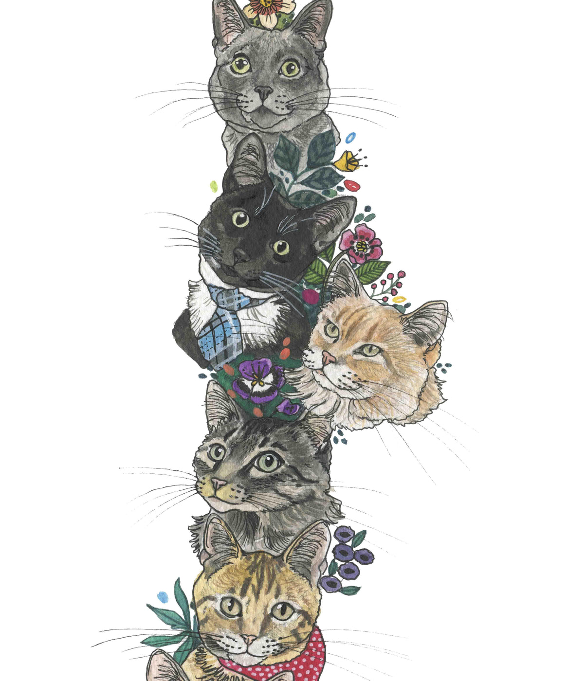 Mapa de Gatos - Lámina — Mappin