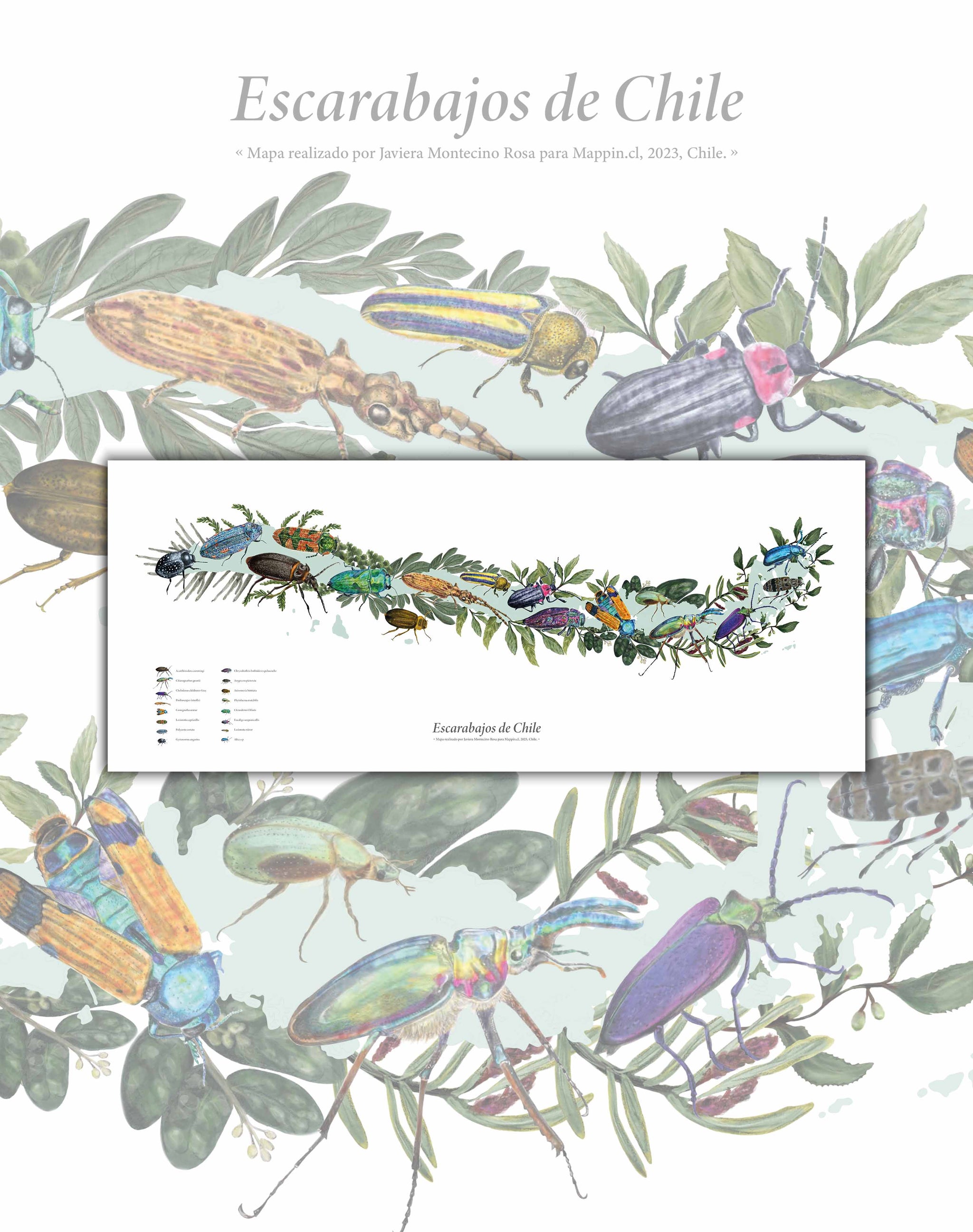 Mapas de Chile: Ilustrados — Mappin