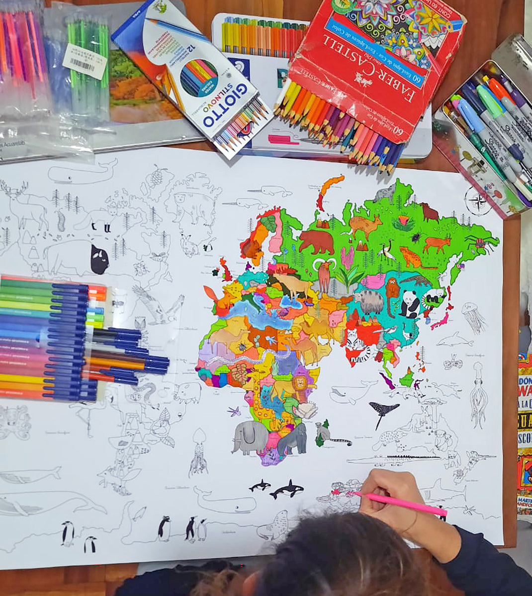 Mapa del Mundo Coloreable - Lámina – Mappin