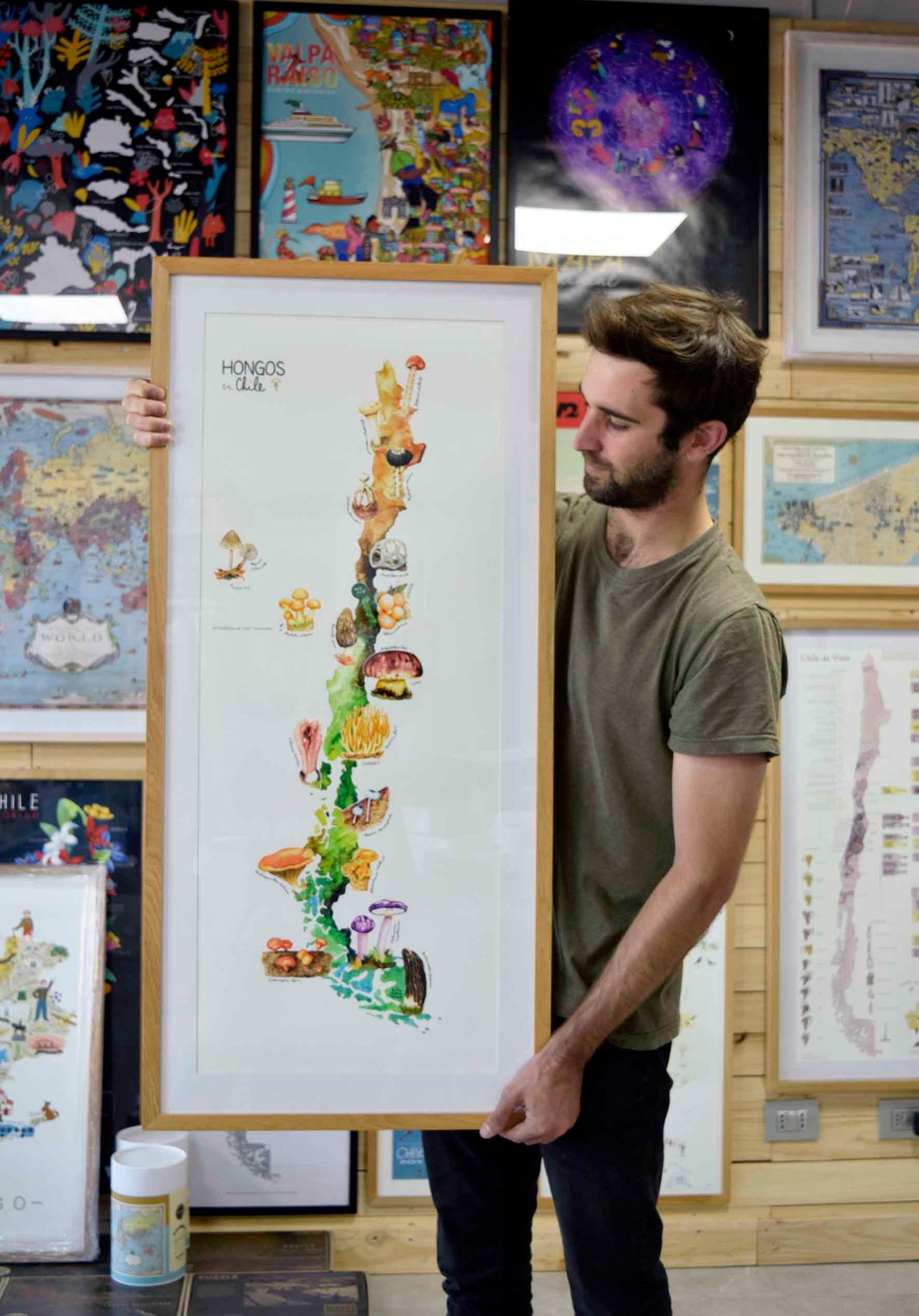 Mapa de Hongos en Chile - Lámina — Mappin