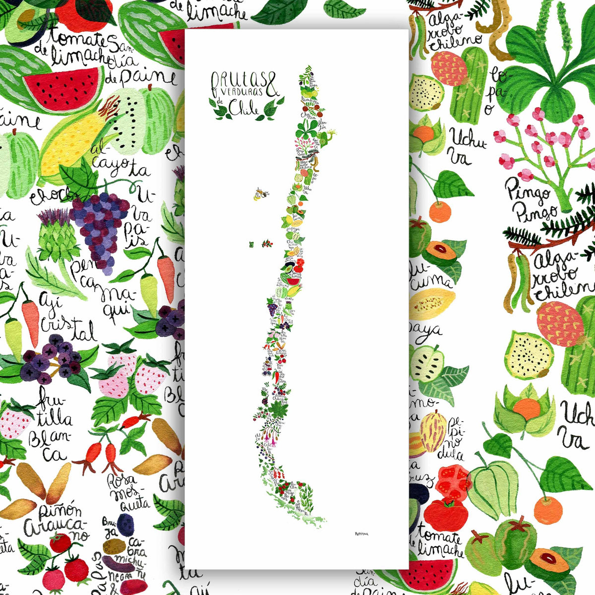 Chile Fruits and Vegetables Map - Print – Mappin