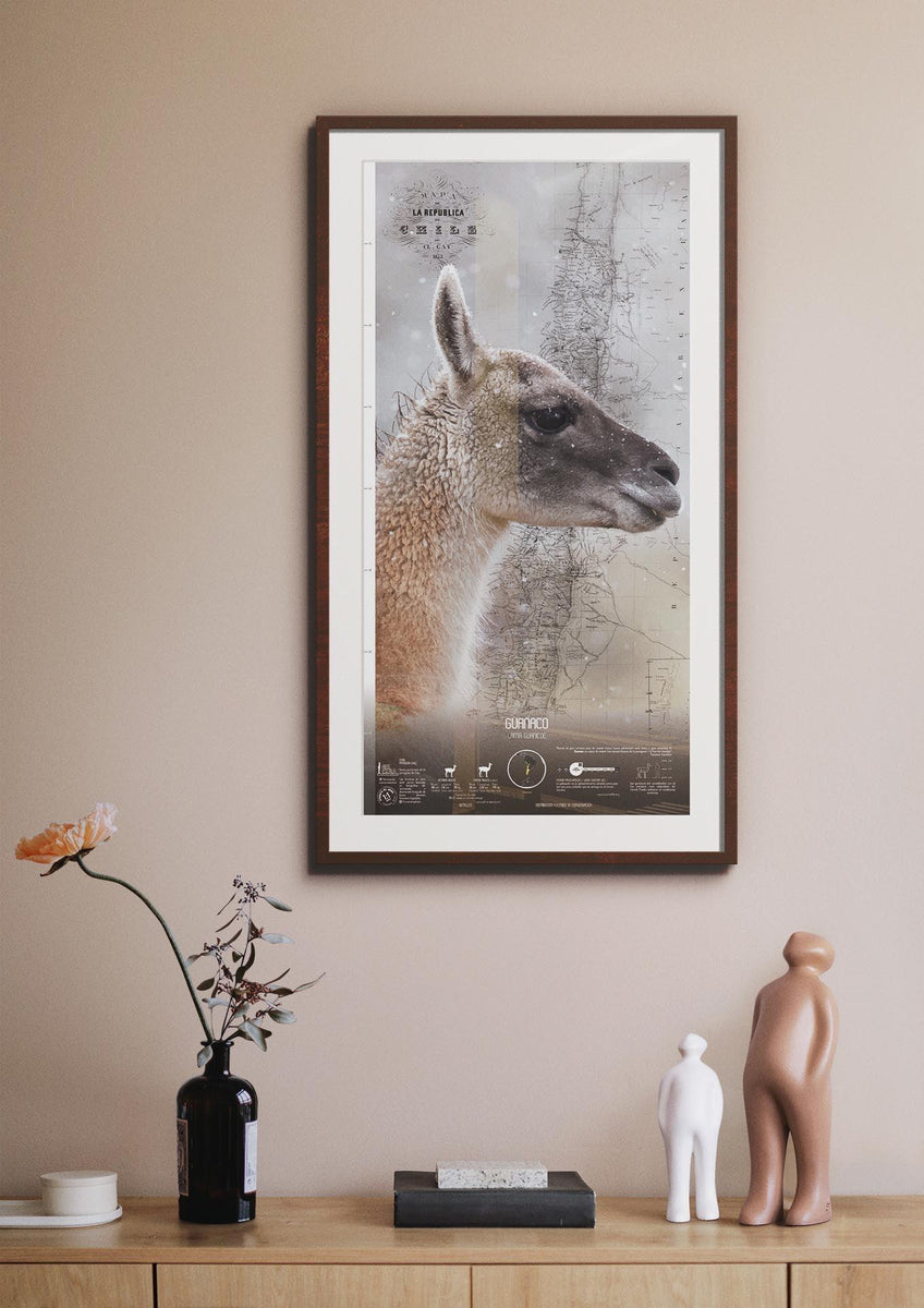 Guanaco Art Scale - Art Print – Mappin