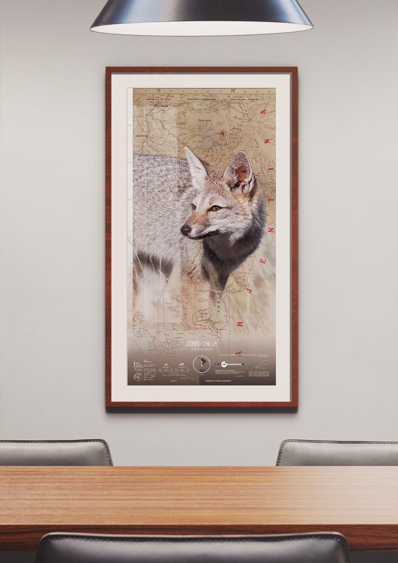 Zorro Chilla Arte Escala - Lámina — Mappin