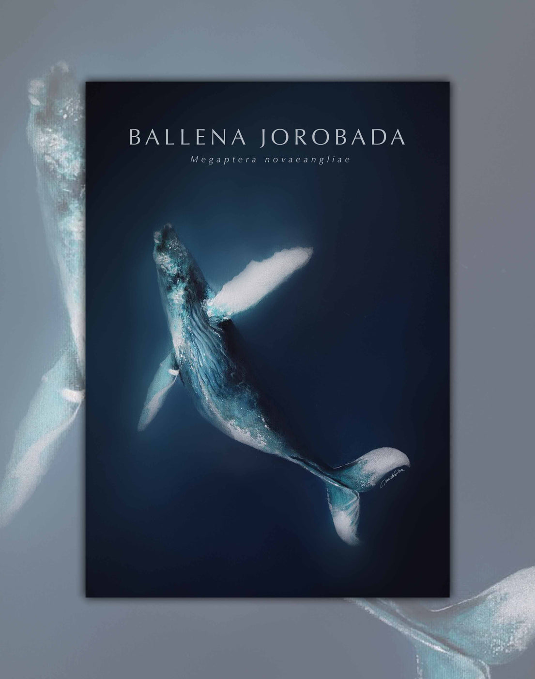 Poster Ballena Jorobada - Lámina — Mappin
