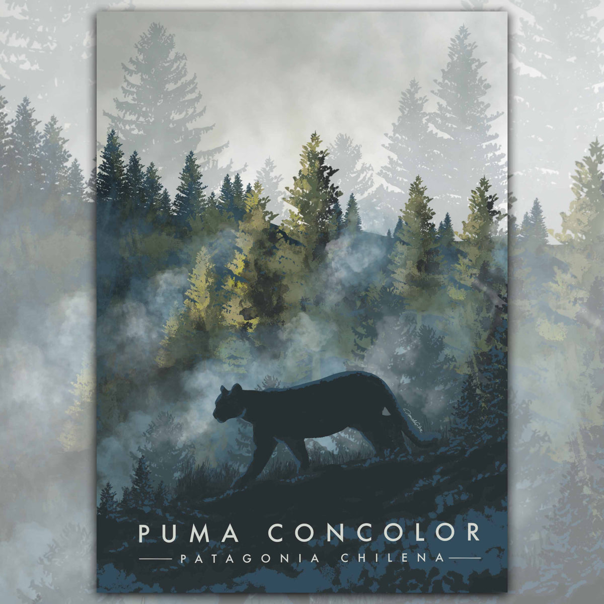 Poster Puma Concolor - Lámina — Mappin