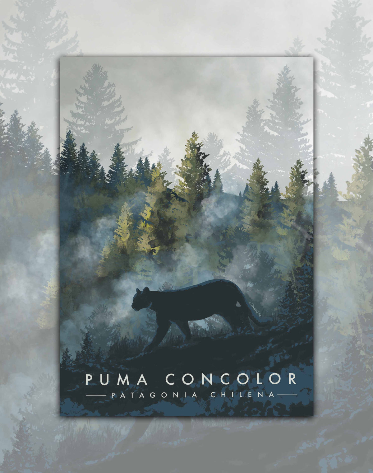 Poster Puma Concolor - Lámina — Mappin