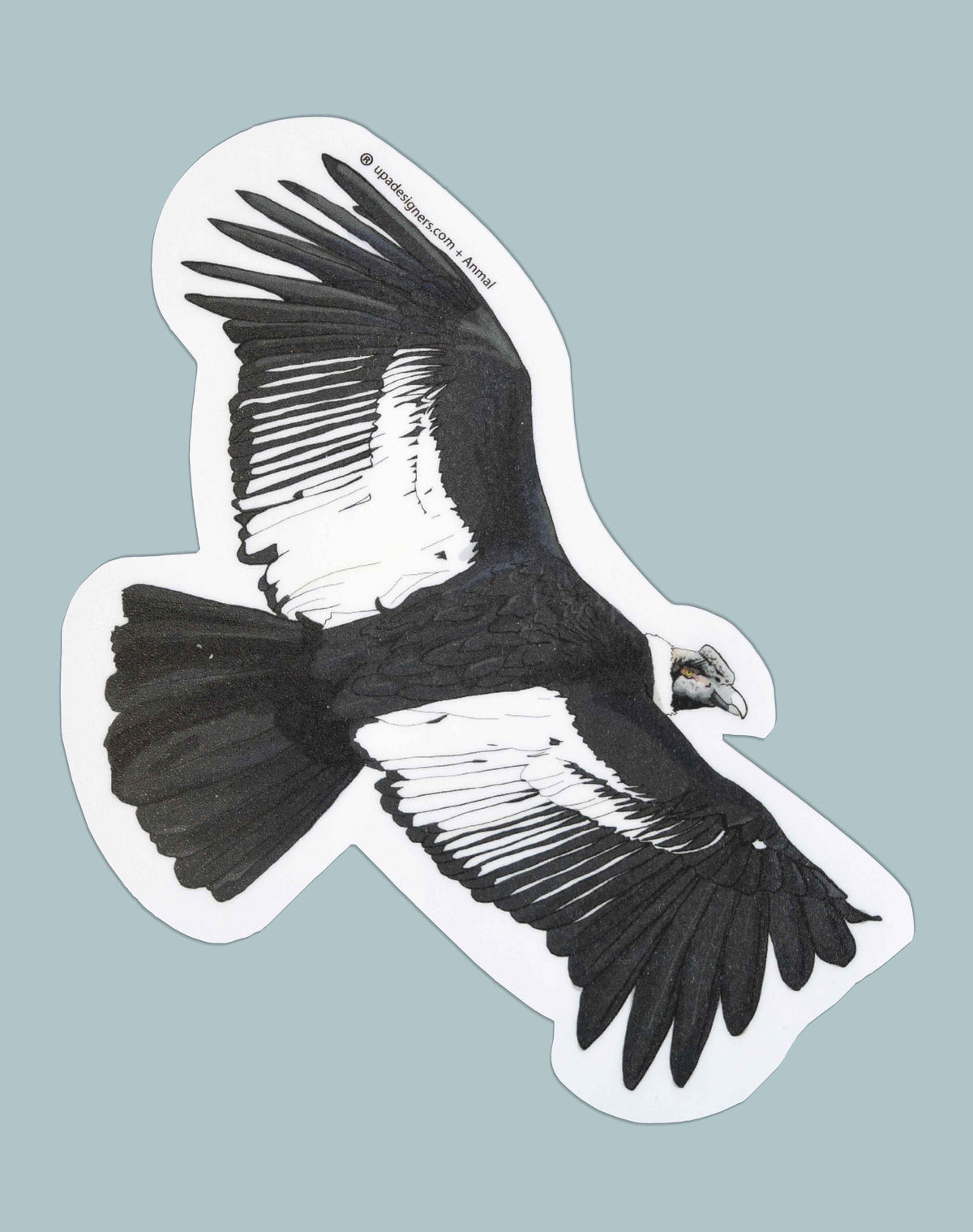 Sticker Cóndor - S — Mappin